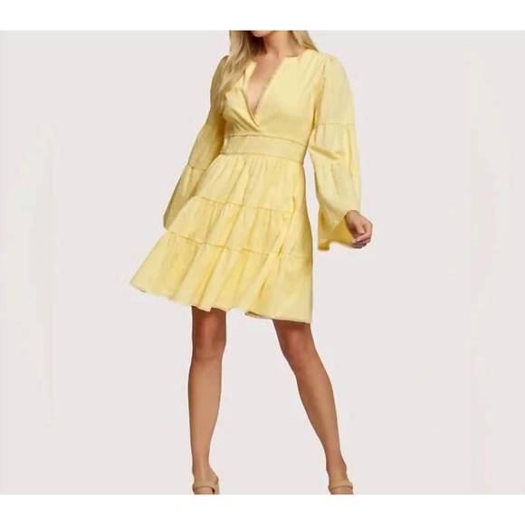 Lost + Wander | Dresses | New Lost Wander Picking Daisies Mini Dress In ...